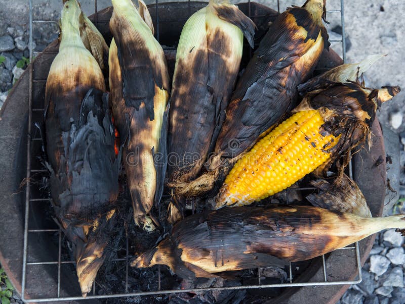 Grill Corn by Place on a Rack Stock Image - Image of corn, crop: 43621697