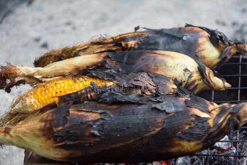 Grill Corn by Place on a Rack Stock Photo - Image of fire, cuisine ...