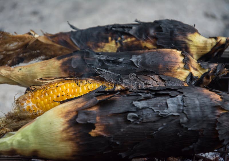 Grill Corn by Place on a Rack Stock Image - Image of grilled, fire ...