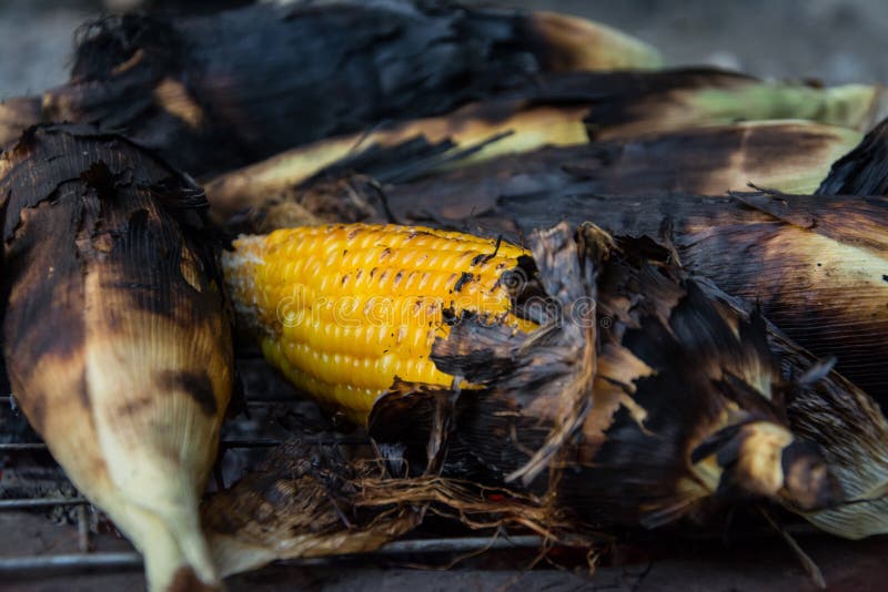 Grill Corn by Place on a Rack Stock Photo - Image of corn, rack: 43622040