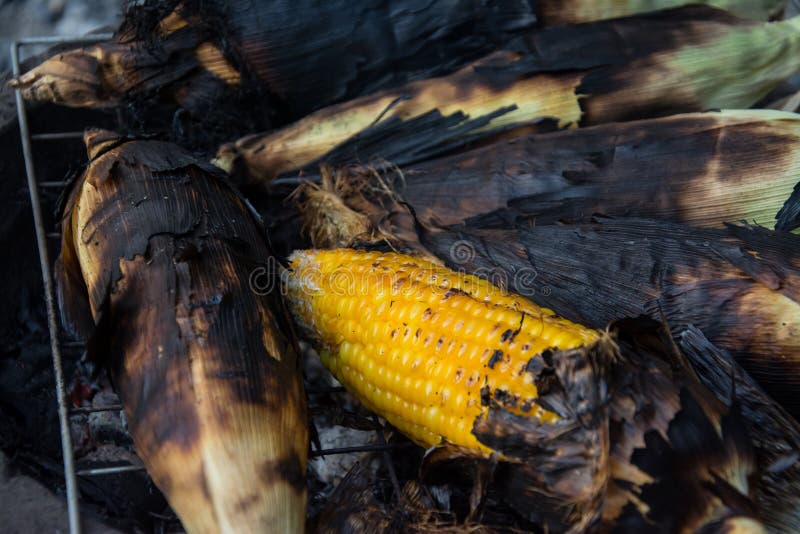 Grill Corn by Place on a Rack Stock Image - Image of nutrition, nature ...
