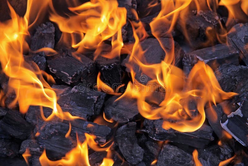 Grill-Feuer stockbild. Bild von grillen, holzkohle, sicherheit - 18377383