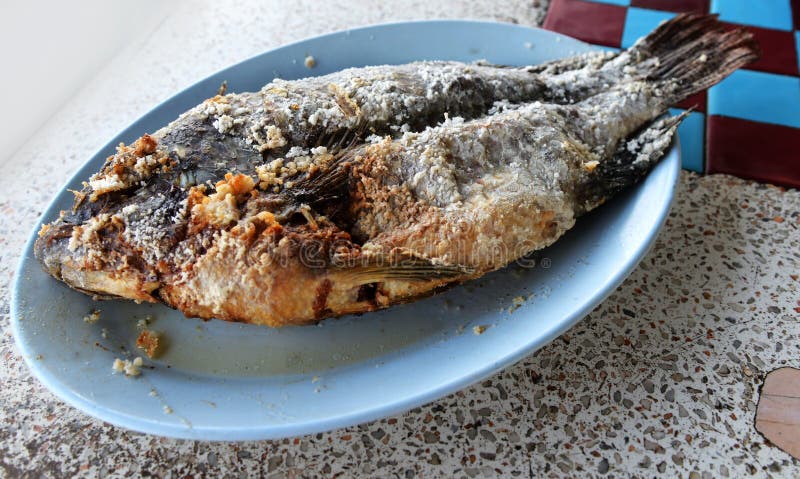 Grill Fish Burn stock image. Image of salt, asian, health - 52613355
