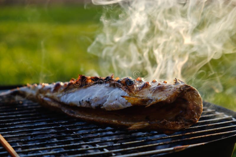Grill Fish Fire Mackerel Food, Meal Bonfire Stock Photo - Image of ...