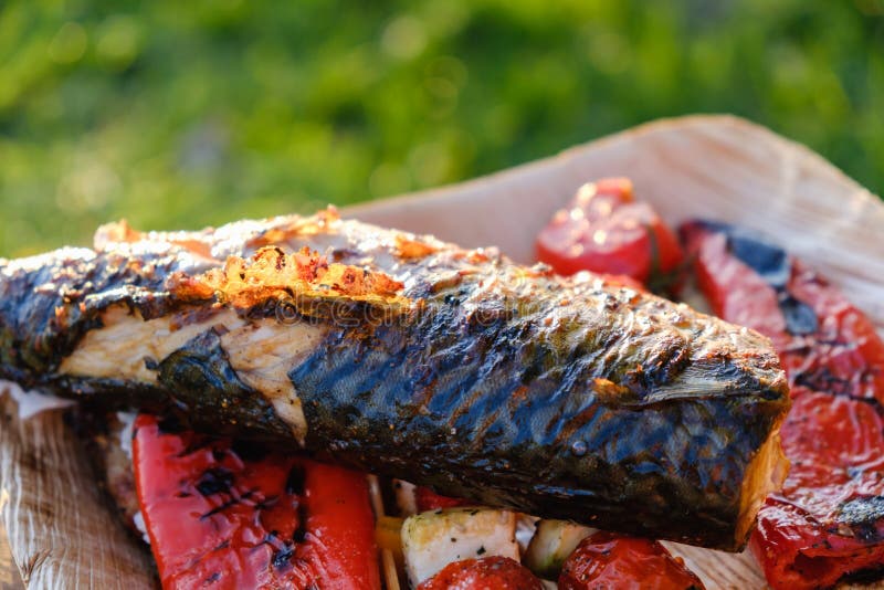 Fish is roasted on fire stock image. Image of campfire - 24819459