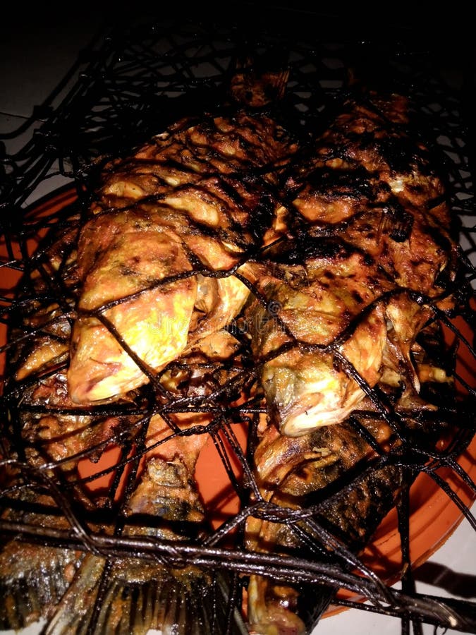 Grill fish Kampoeng stock photo. Image of kampoeng, yummy - 232444096