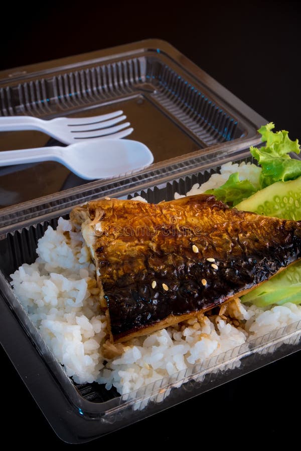Grill Fish on Rice in Plastic Box, Take Home Food Stock Photo - Image ...