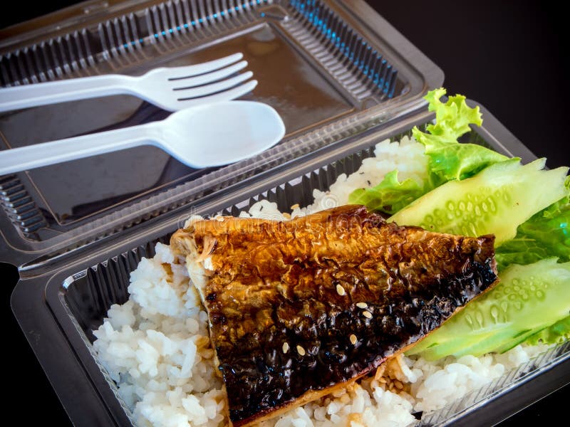 Grill Fish on Rice in Plastic Box, Take Home Food Stock Photo - Image ...