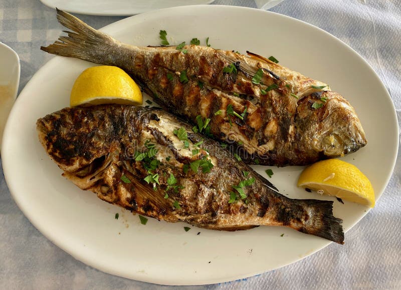 Grill Fish Served for Dinner Stock Photo - Image of meal, dinner: 249526596