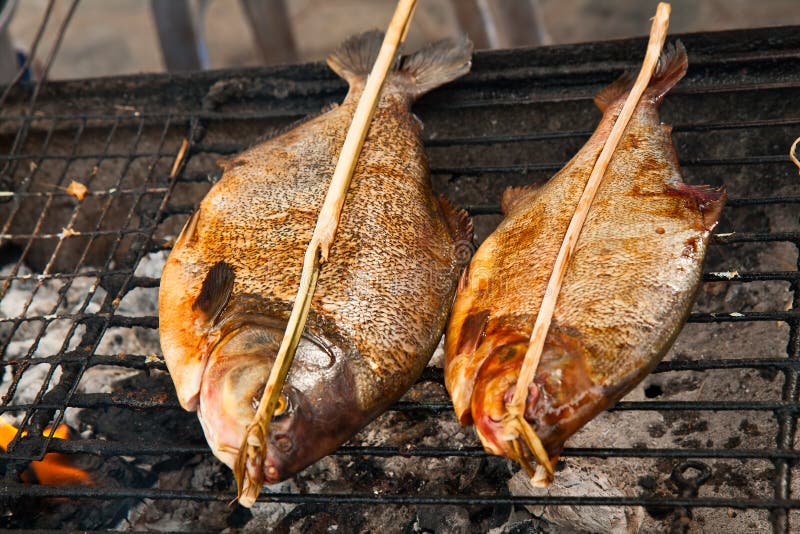 Grill fish stock photo. Image of market, dinner, grill - 37783604