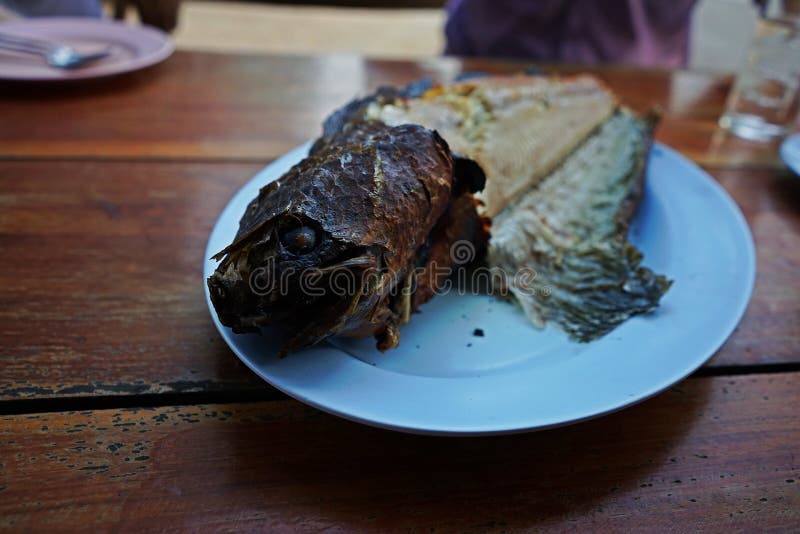 Fish burned with salt stock image. Image of grilled - 113574077