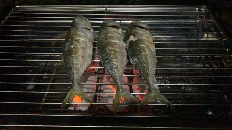 Grill fresh fish stock photo. Image of fish, grill, fresh - 200706294