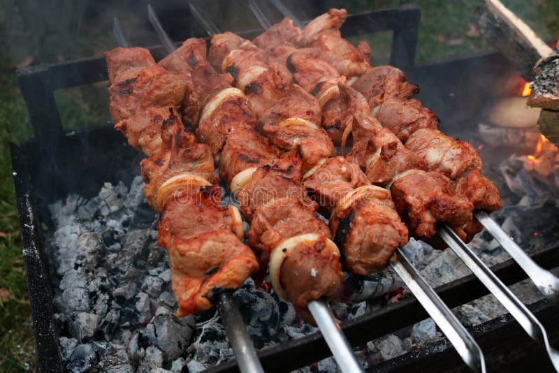 Grill Meat Barbeque on Fire. Stock Photo - Image of kebab, grill: 103384870