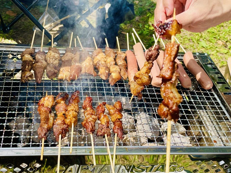 Satay grilled stock photo. Image of indonesian, appetizer - 318704342
