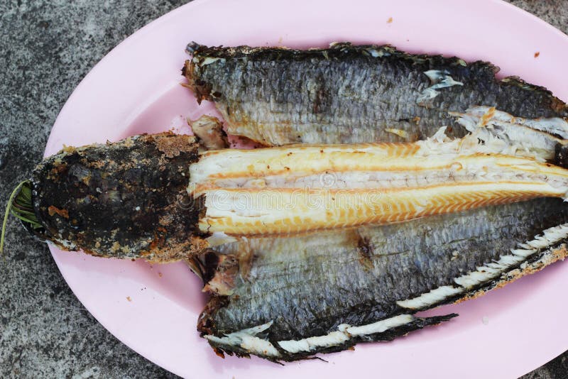 Grill snake head fish stock image. Image of salted, snake - 80745059