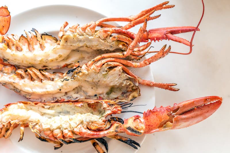 Grillad hummer fotografering för bildbyråer. Bild av nytt - 74684757