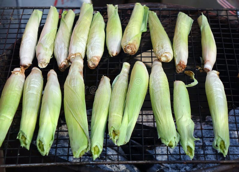 Grilled Baby Corn stock image. Image of baby, stall - 120925905