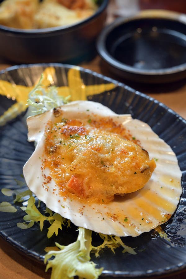Baked cheese Scallop shell stock image. Image of barbecue - 272382521