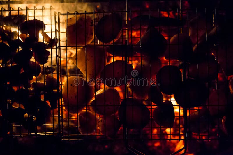 Grilled Baked Potatoes and Mushrooms Over the Fire in the Dark Stock ...