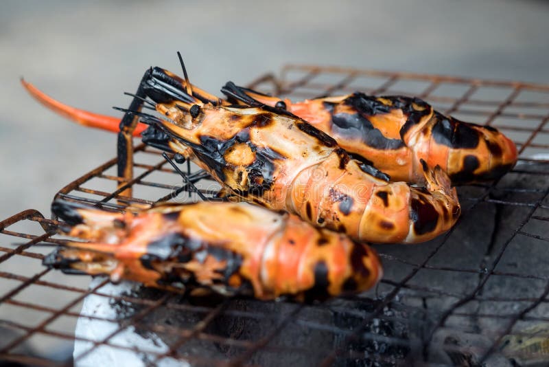 Grilled Big Shrimp that`s Being Cooked on Charcoal Grill Stock Image ...