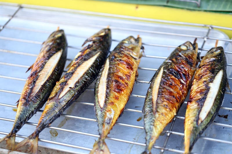 Grilled bonito fish. stock photo. Image of animal, tuna - 47222672