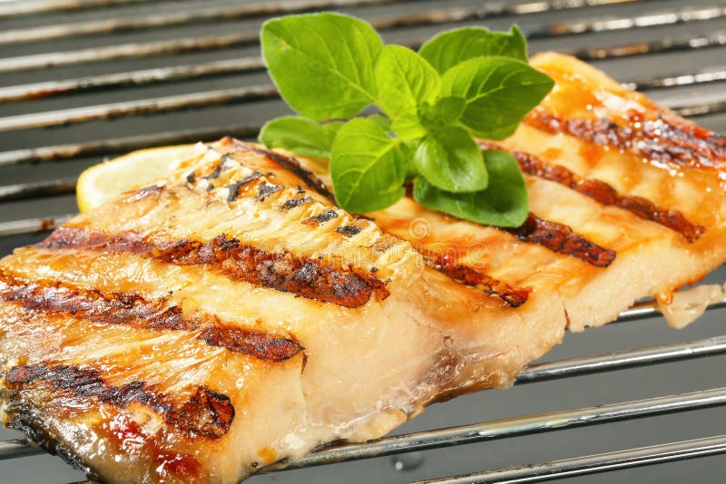 Grilled carp fillet stock photo. Image of fillet, grilling - 56729172