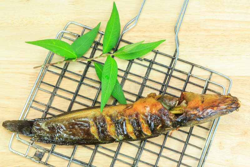Grilled Catfish Selling in the Market Stock Image - Image of diet, fish ...