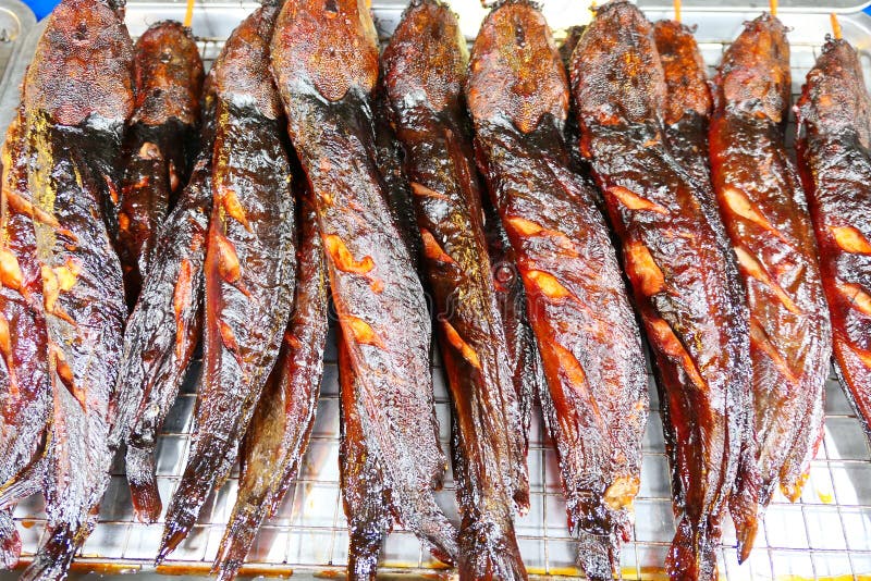 Grilled Catfish Selling in the Market Stock Image - Image of diet, fish ...