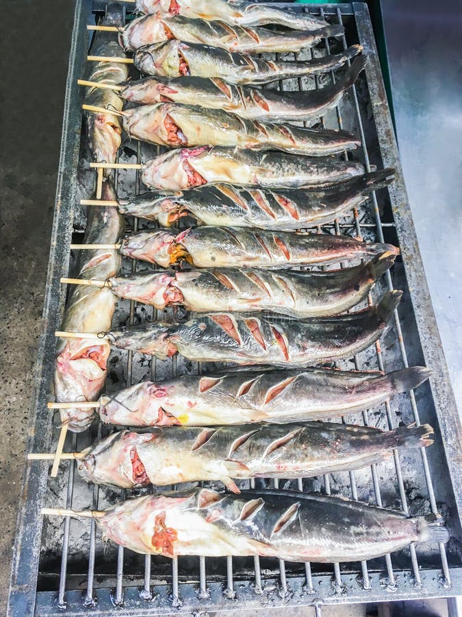 Grilled catfish, Thai food stock image. Image of smoke - 98552187