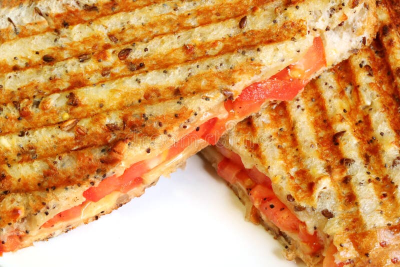 Grilled Cheese and Tomato Sand Stock Photo - Image of wholewheat ...