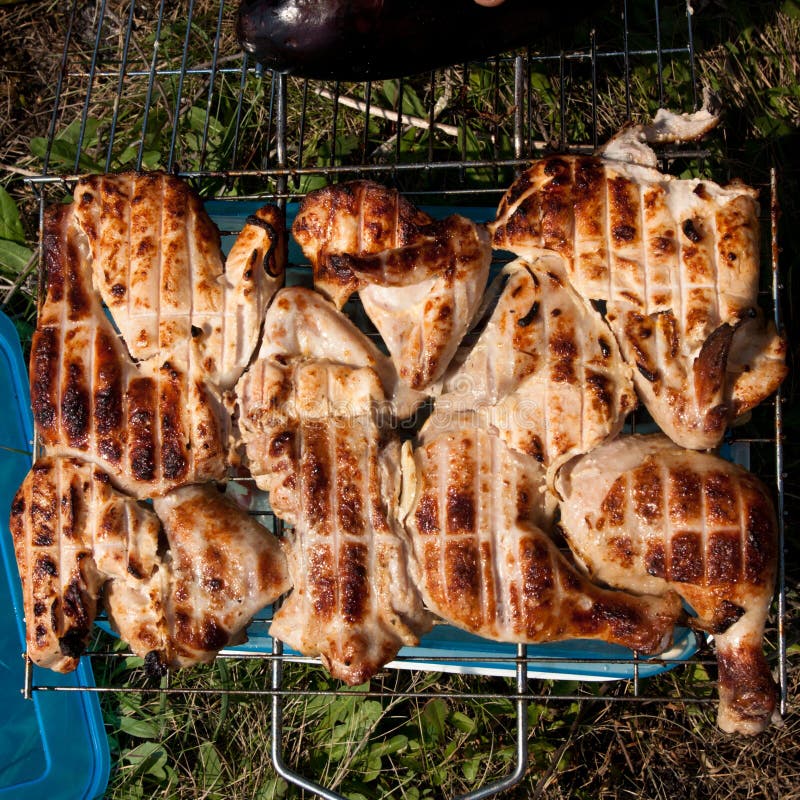 Grilled chicken stock image. Image of lunch, diet, dinner - 14316893