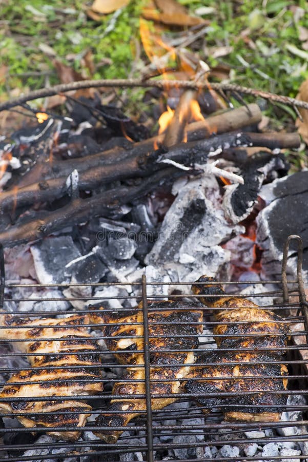 Grilled Chicken Drumsticks Over Fire Stock Photo - Image of fire ...