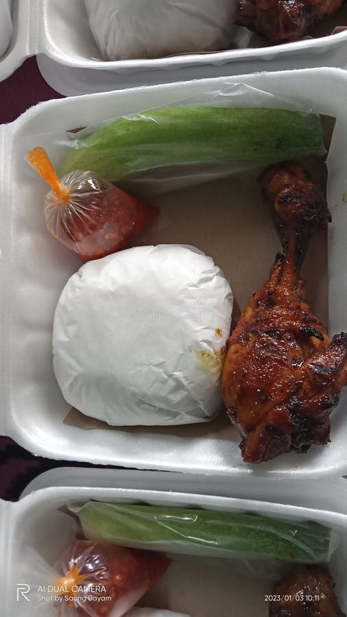 Grilled chicken fd stock photo. Image of traditional - 265413664