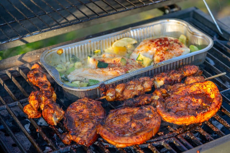 Grilled Chicken and Fish on the Grill Stock Image - Image of heat ...