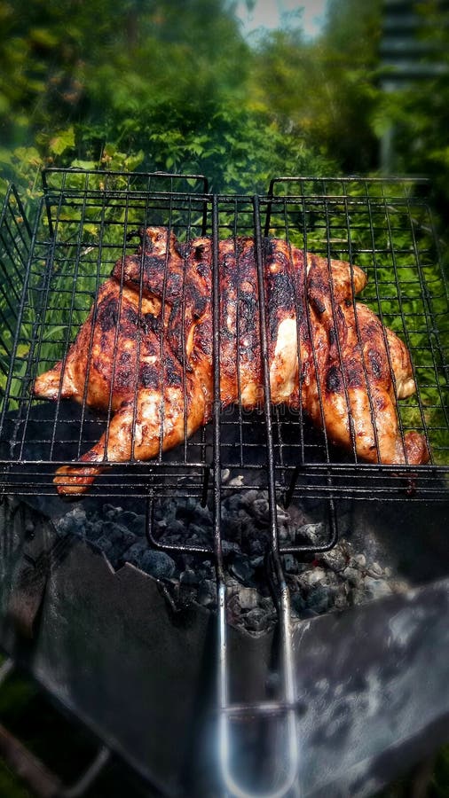 Grilled Chicken on the Open Fire in the Forest Stock Photo - Image of ...