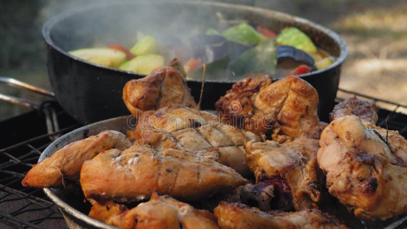 Grilled Chicken Pieces in a Plate is Heated on a Fire Stock Footage ...