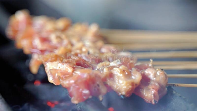 Grilled Chicken Satay Close Up Stock Video - Video of indonesian, spicy ...