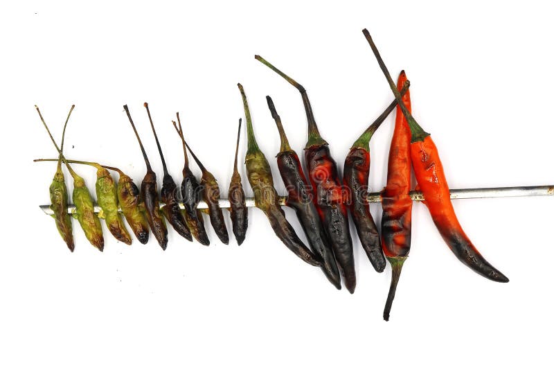 Grilled Chilli Color for Background Stock Image - Image of color ...
