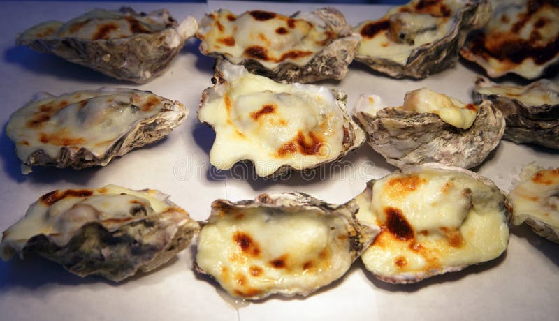 Grilled shellfish stock photo. Image of food, expensive - 18619020