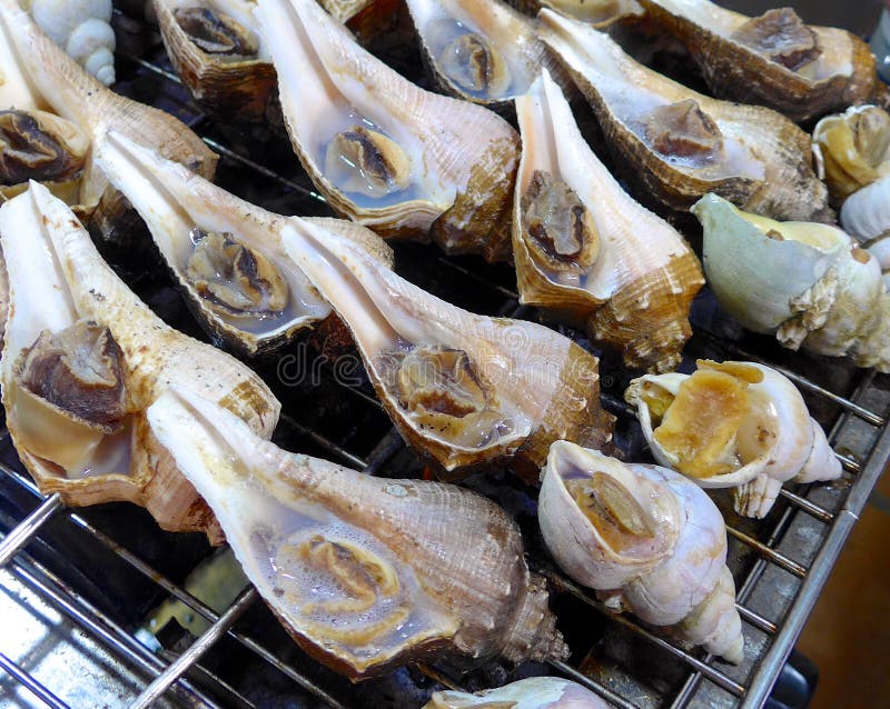 Grilled Conch Closeup at Market Stock Photo - Image of animal, charcoal ...