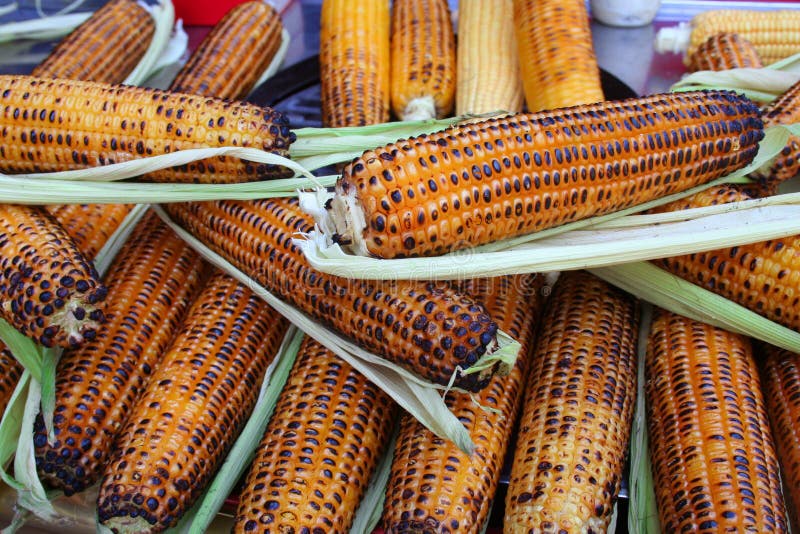 Peruvian Corn stock photo. Image of yellow, corn, organic - 21225110