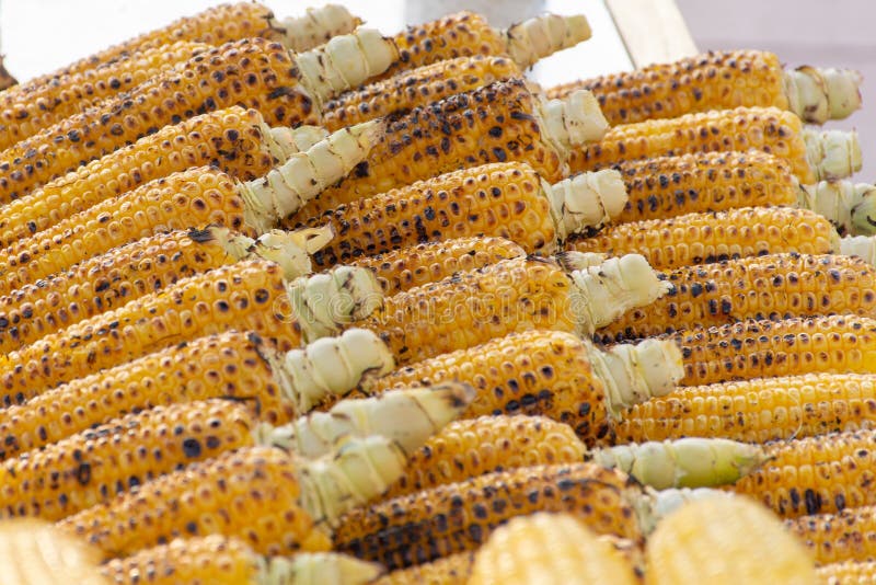 Grilled Corn on the Cob in Rows Stock Photo - Image of barbecue, plant ...