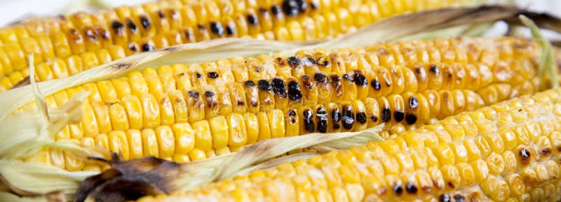 Grilled Corn on the Cob, Side View. Close-up Stock Image - Image of ...