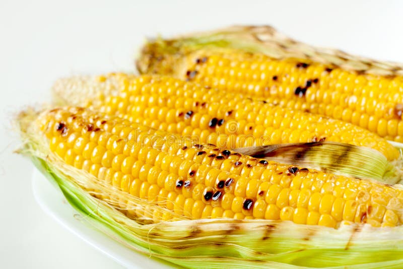 Grilled Corn Cobs on White Background Stock Photo - Image of food ...