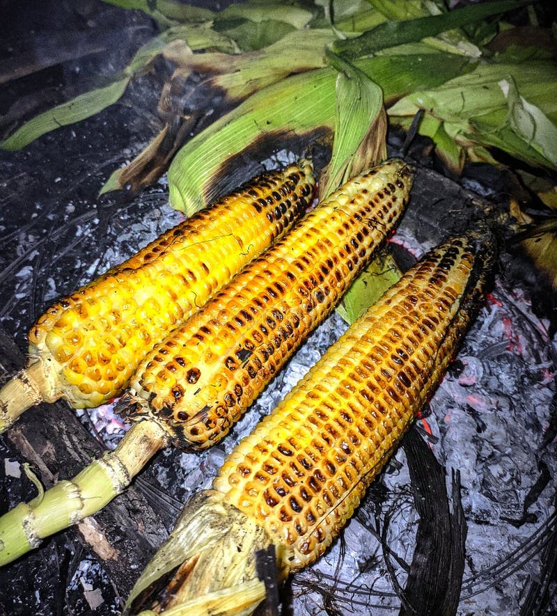 Grilled Corn from Indonesia Stock Image - Image of form, produce: 344848407
