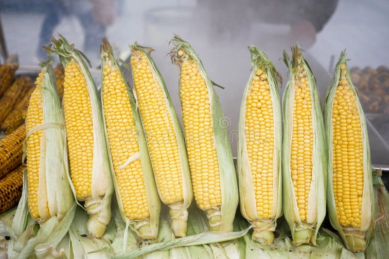 Grilled Corn for Sale in a Market Stall in Istanbul Stock Photo - Image ...