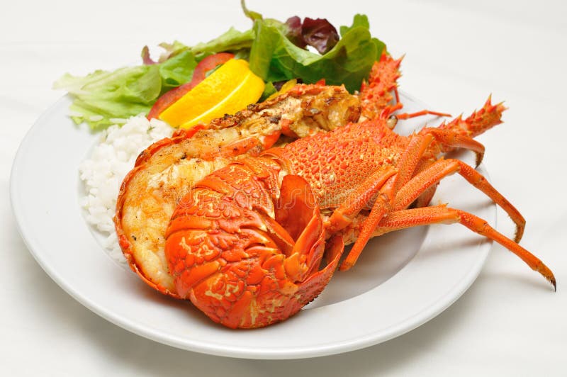 Grilled crayfish on dish stock image. Image of aqua, bearnaise - 22838311