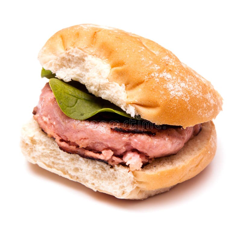 Grilled Crocodile Meat Burger Isolated on a White Studio Backgr Stock ...