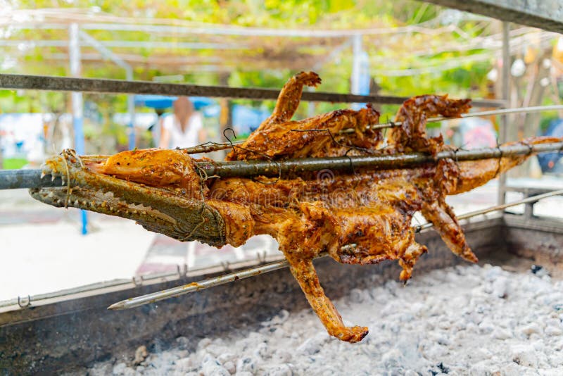 Preparing a crocodile. stock photo. Image of asian, cooking - 267303464