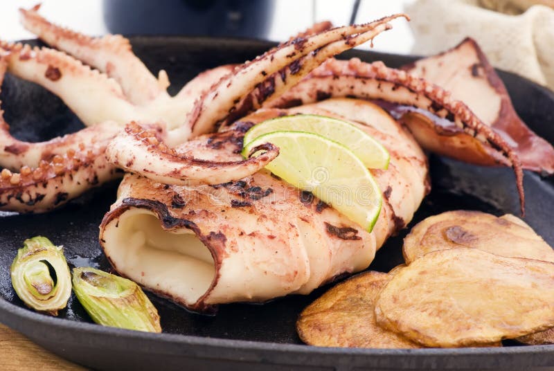 Grilled Cuttle Fish stock photo. Image of delicious, barbecue - 11280954